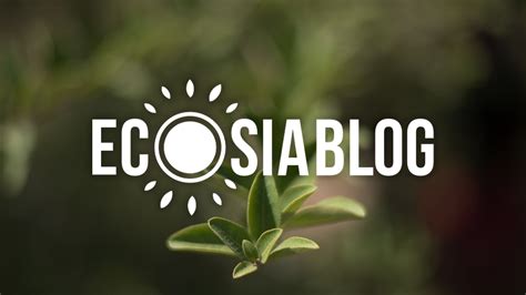 The Ecosia Blog