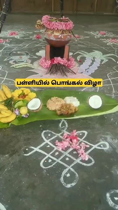 பொங்கலோ பொங்கல் Youtube