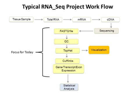 Galaxy Rna Seq