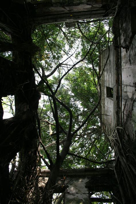 Minxiong Haunted House 民雄鬼屋 Foreigners In Taiwan 外國人在臺灣