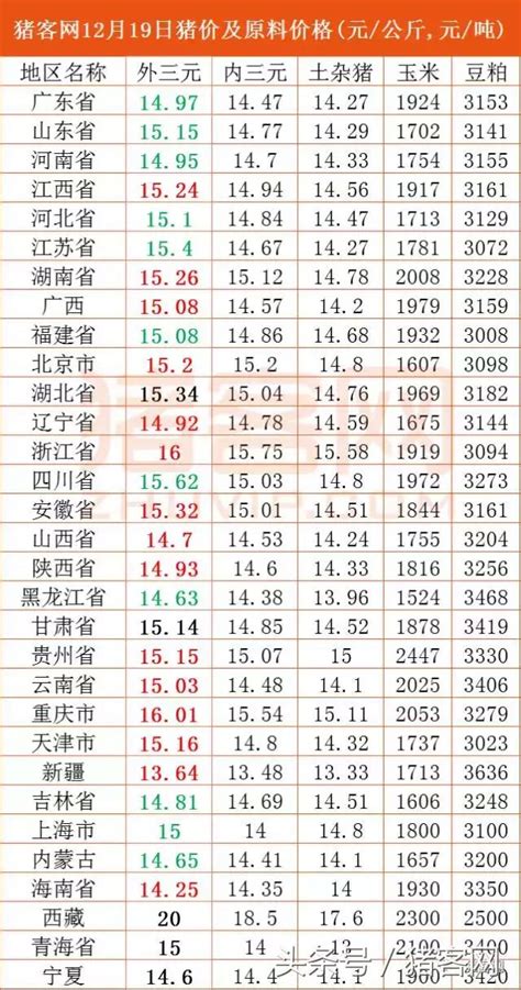 豬客網：12月19日豬價 穩~兩省目前已破8元！ 每日頭條