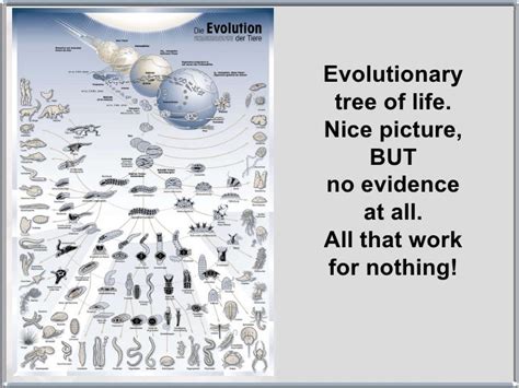 Creation Vs Evolution