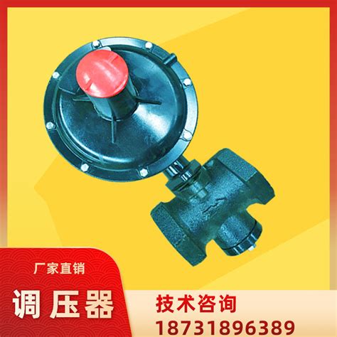 调压器天然气减压阀TRZ F燃气燃烧机专用楼烧锅锅炉稳压其他阀门