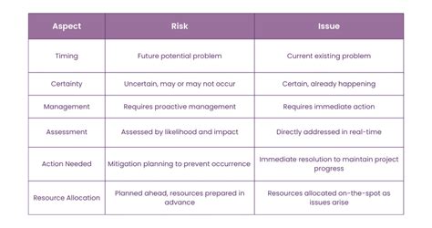 Difference Between Risk And Issue Explained In Detail
