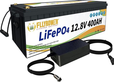Amazon FLLEEYPOWER 12V 400Ah LiFePO4 Lithium Battery Over 8000
