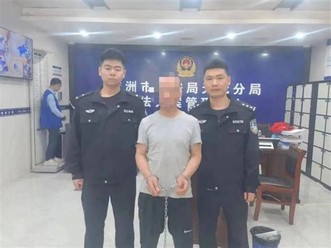 潜逃30余年！山西一命案逃犯在湖南株洲被抓武某英公安武乡县