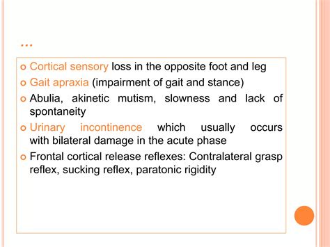 Anterior Cerebral Artery Aca Ppt