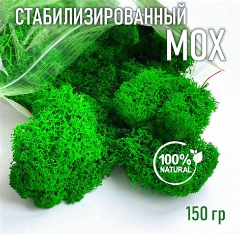 Мох на стене — купить по низкой цене на Яндекс Маркете