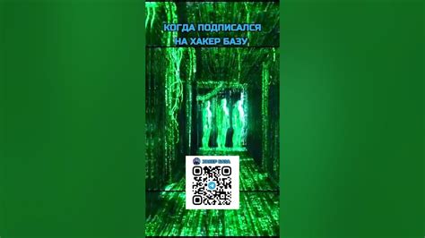 ХАКЕР БАЗА СКАНИРУЙ ВСТУПАЙ хакер программирование it айти
