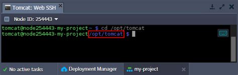 SSH Access To Container Manage Your Server Remotely Virtuozzo