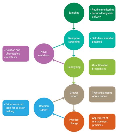 ‘next Gen Monitoring Improving Fungicide Resistance Detection Groundcover
