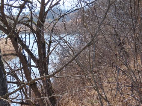 須川馬見ヶ崎川合流地点