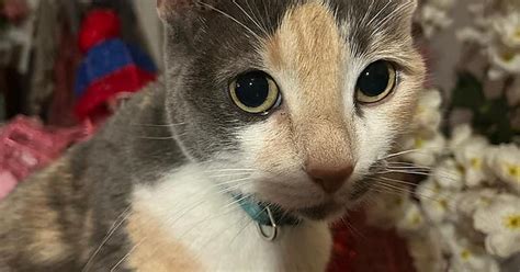 Megamind Recreation Meme On Imgur