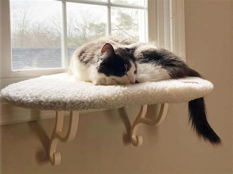 This Bestselling Cat Perch Is Perfect For Birdwatching Season