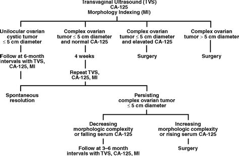 Clinical Decision Making Using Ovarian Cancer Risk Assessment Ajr