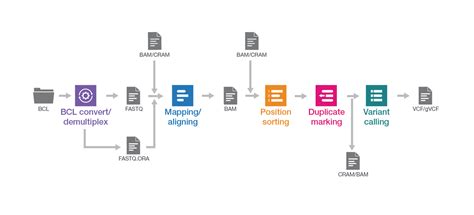 Dragen Secondary Analysis Variant Calling And Genomics Software