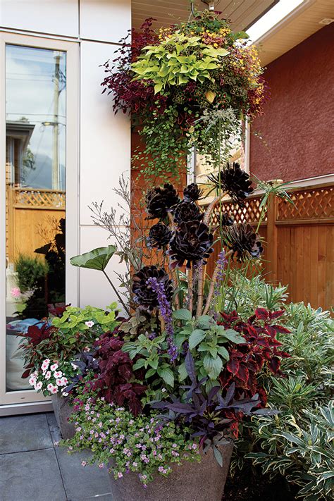 Great Designs For Container Groupings Fine Gardening