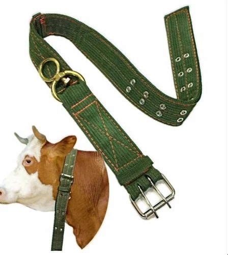 Cow Collar Belt At ₹ 475piece Cattle Collars In Kanpur Id