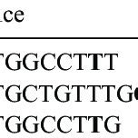 Interpretations Of Mismatch Amplification Mutation Assay MAMA PCR Download Scientific Diagram