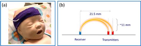Figure 1 From Respiratory Rate Extraction From Neonatal Near Infrared