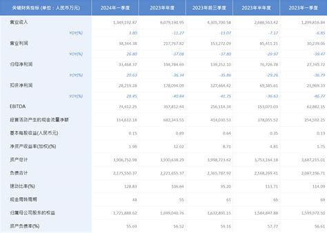 Usi 关键财务指标