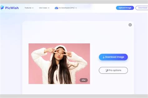 Top Tools To Increase Image Resolution Online Free