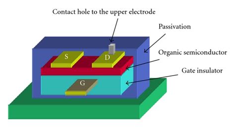 Device Structure Of O Tft Bottom Gate Top Contact Type Download Scientific Diagram