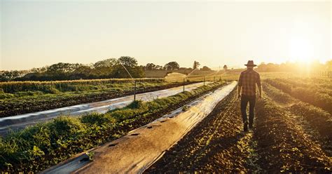 Boost Crop Quality And Your Bottom Line With Us Borax Us Borax