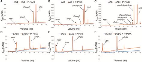 Hplc Analysis Of Nucleotides Cleavage By Porx Nucleotides A Ca3