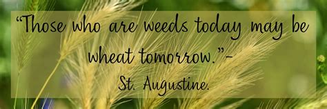 How To Recognize Spiritual Weeds In Your Life