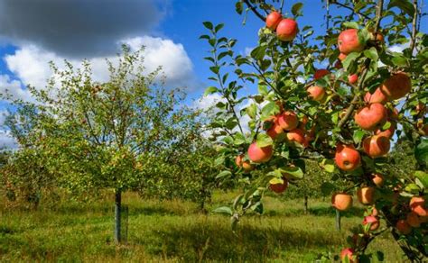 Внимание Няма задължение за подаване на нови декларации за такса смет в София — Offnews