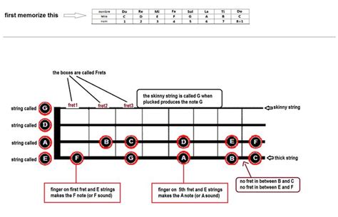 Notes On Bass How To Memorize Things Learning Bass Notes