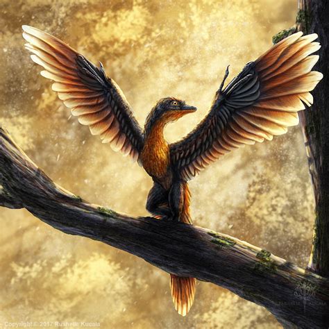 Artstation Archaeopteryx Lithographica Commission