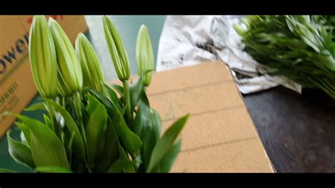 백합옐로인외대 꽃사입 생화택배 꽃집 절화 플라워리스 온라인꽃도매 리스만들기 인터넷꽃도매 꽃싸게사는법 꽃꽂이 꽃택배 꽃도매 드라이플라워 Youtube