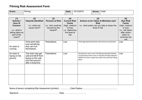 Filming Risk Assessment Form Pdf First Aid Injuries
