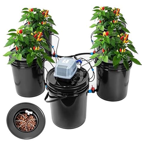 Ideal Hydroponic Reservoir Temperature Hydro Green Space