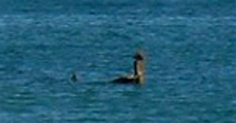 Loch Ness Monster Spotted Off Northern Queensland Huffpost Videos