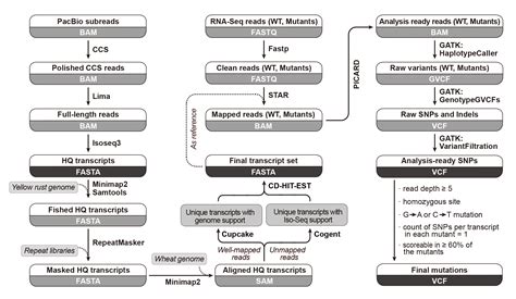 Github Feinystam Sequencing Trait Associated Mutations A
