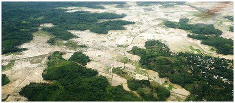 Deforestation Definition Causes And Effects Of Deforestation