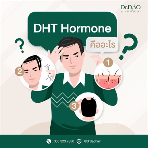 Dht Hormone คืออะไร คุณหมอดาวมีคำตอบค่ะ🥸 Dht หรือชื่อเต็มคือ