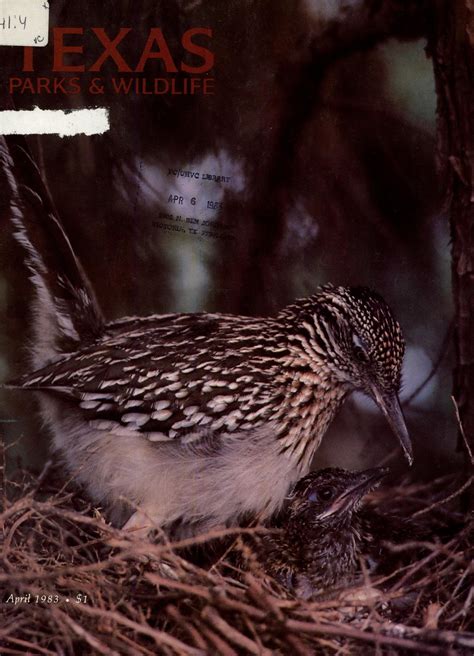 Texas Parks And Wildlife Volume 41 Number 4 April 1983 The Portal To
