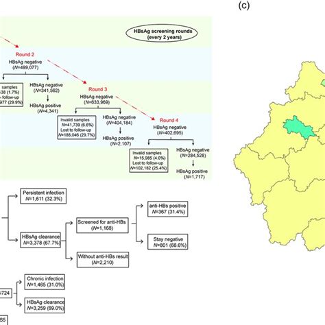 Simplified Chart Of Hepatitis B Screening Rounds A Outcomes Of