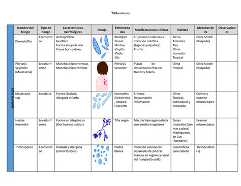 Tabla Resumen De Micosis JABA Tabla Micosis SUPERFICIALES Nombre Del