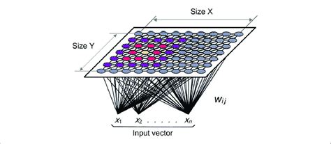Mapping Process Of A High Dimensional Input Vector To Two Dimensional