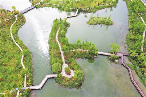 绿道连千里 美景串民心 市建委今年新建改造绿道336公里 打造民生共享全域品质绿道网 杭州影像 杭州网