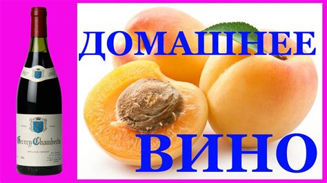 Абрикосовое домашнее вино. ПРОСТО. - YouTube
