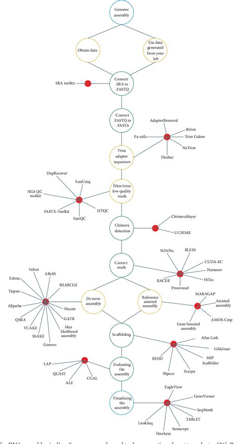 Figure 1 From The A C G And T Of Genome Assembly Semantic Scholar