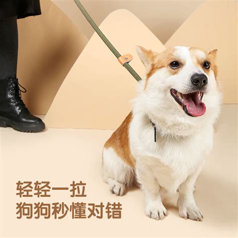 Mpets狗狗牵引绳p绳p链狗绳子大中小型犬柯基网红防爆冲遛狗链子虎窝淘