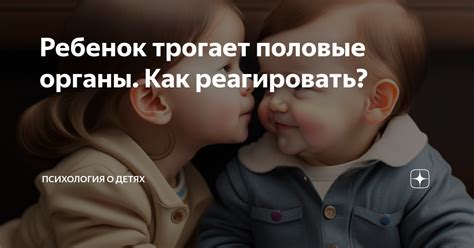 Ребенок трогает половые органы Как реагировать Детский психолог