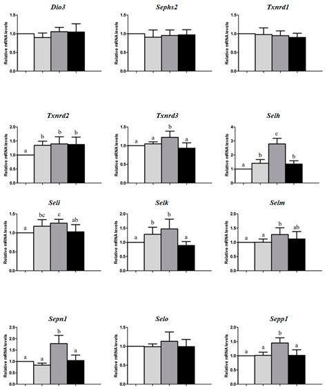 Effects Of Dietary Selenium Deficiency Or Excess On Selenoprotein Gene